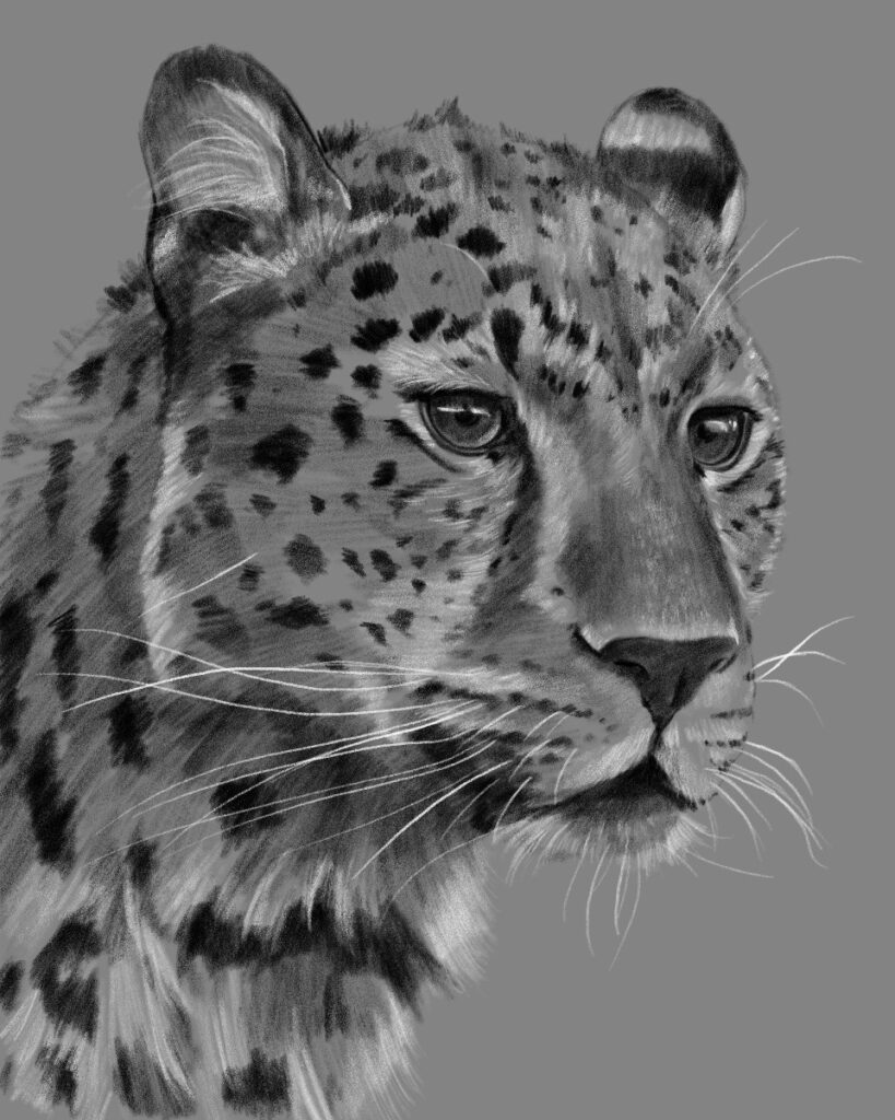 Drawing Fundamentals Archives - Art With Flo