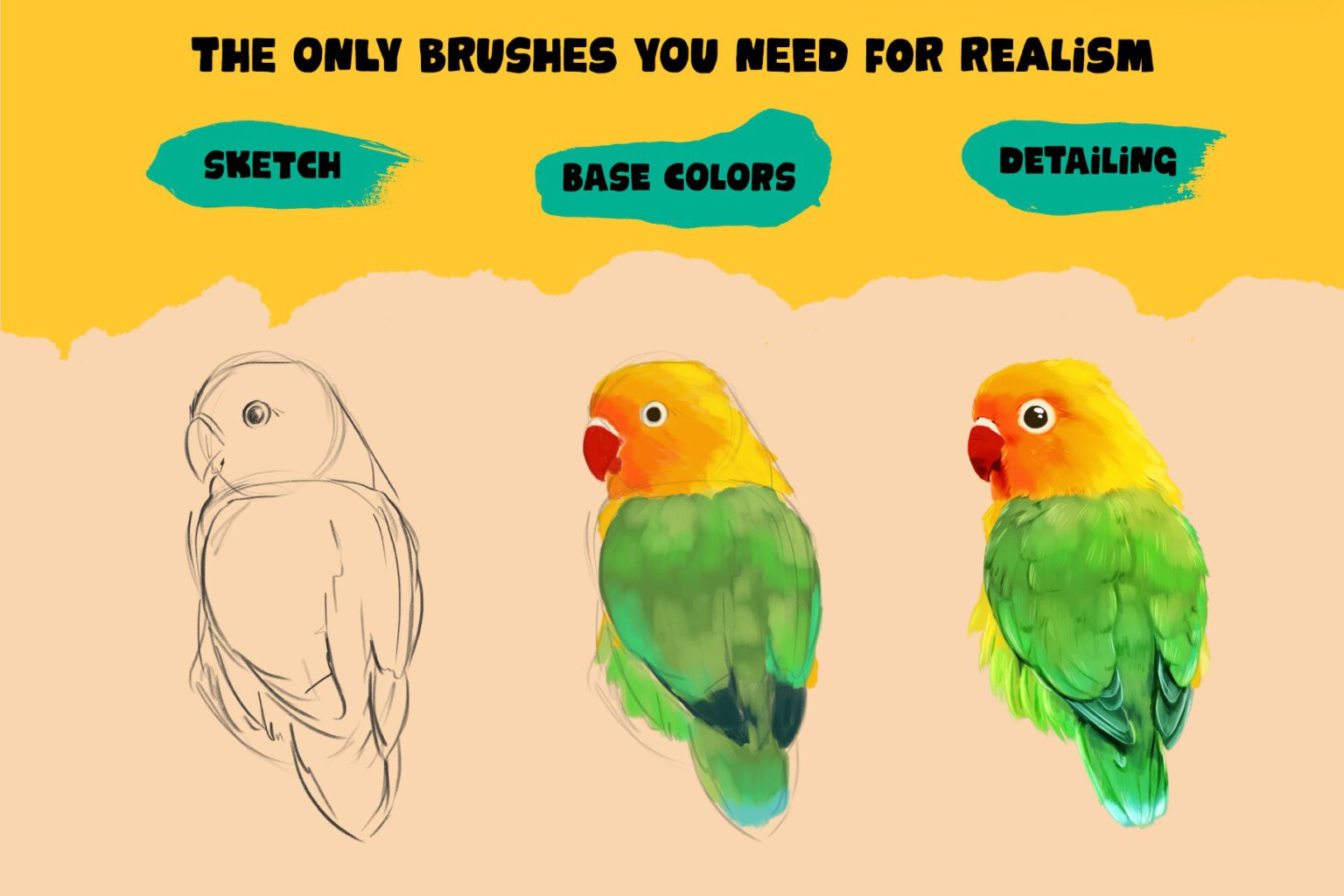 Best Basic Procreate Brushes Art With Flo