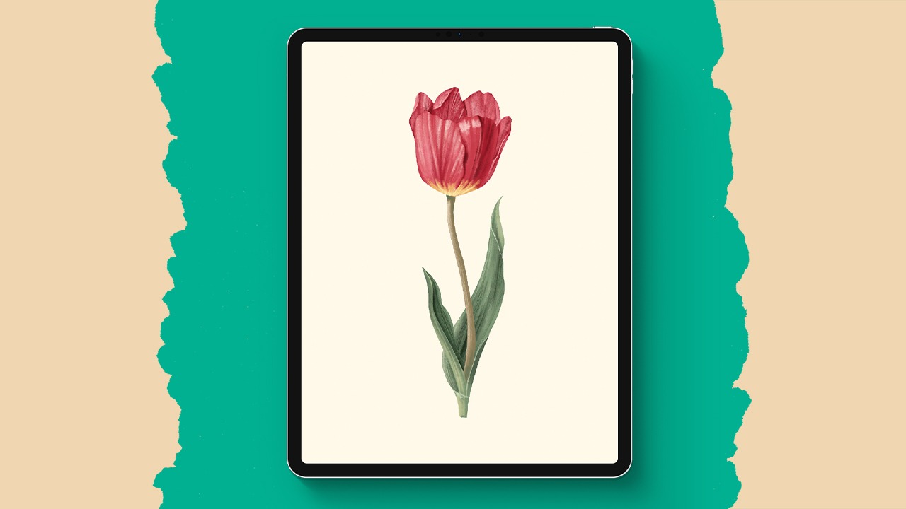 Procreate Tutorials - Art With Flo